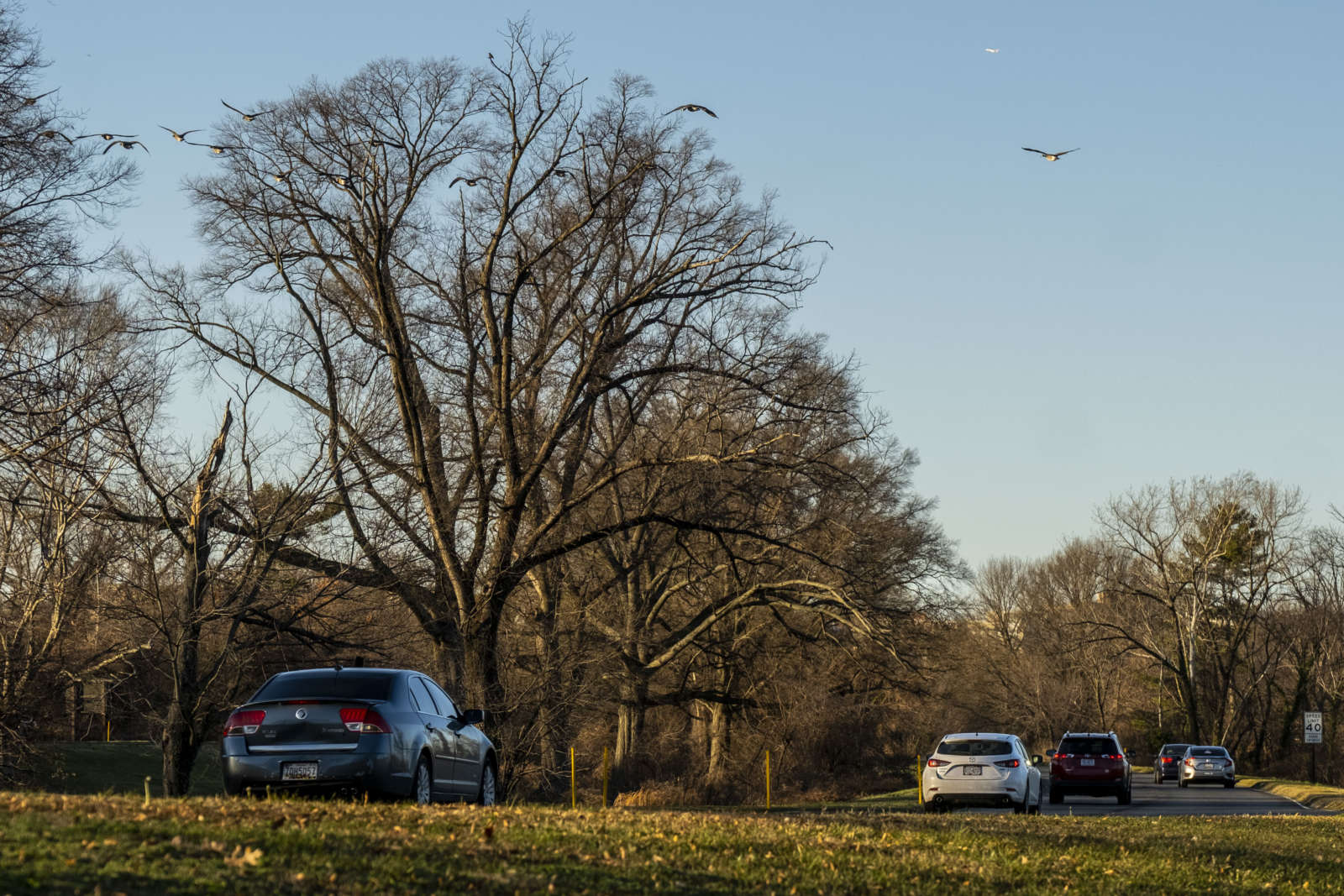 GW Parkway resurfacing to begin between Arlington and Alexandria | ALXnow