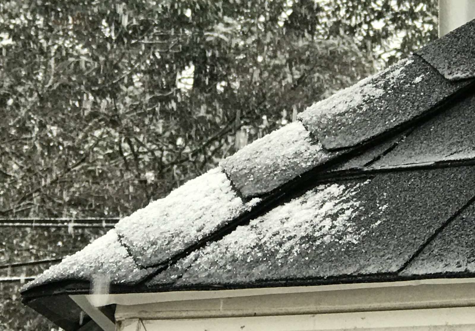 First Snow of the Season Brings Light Accumulation to Alexandria | ALXnow