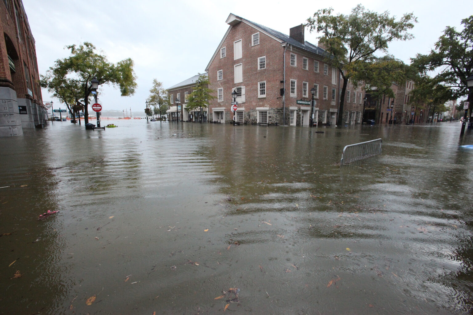 Thunderstorms and flash floods threaten Alexandria on Friday | ALXnow