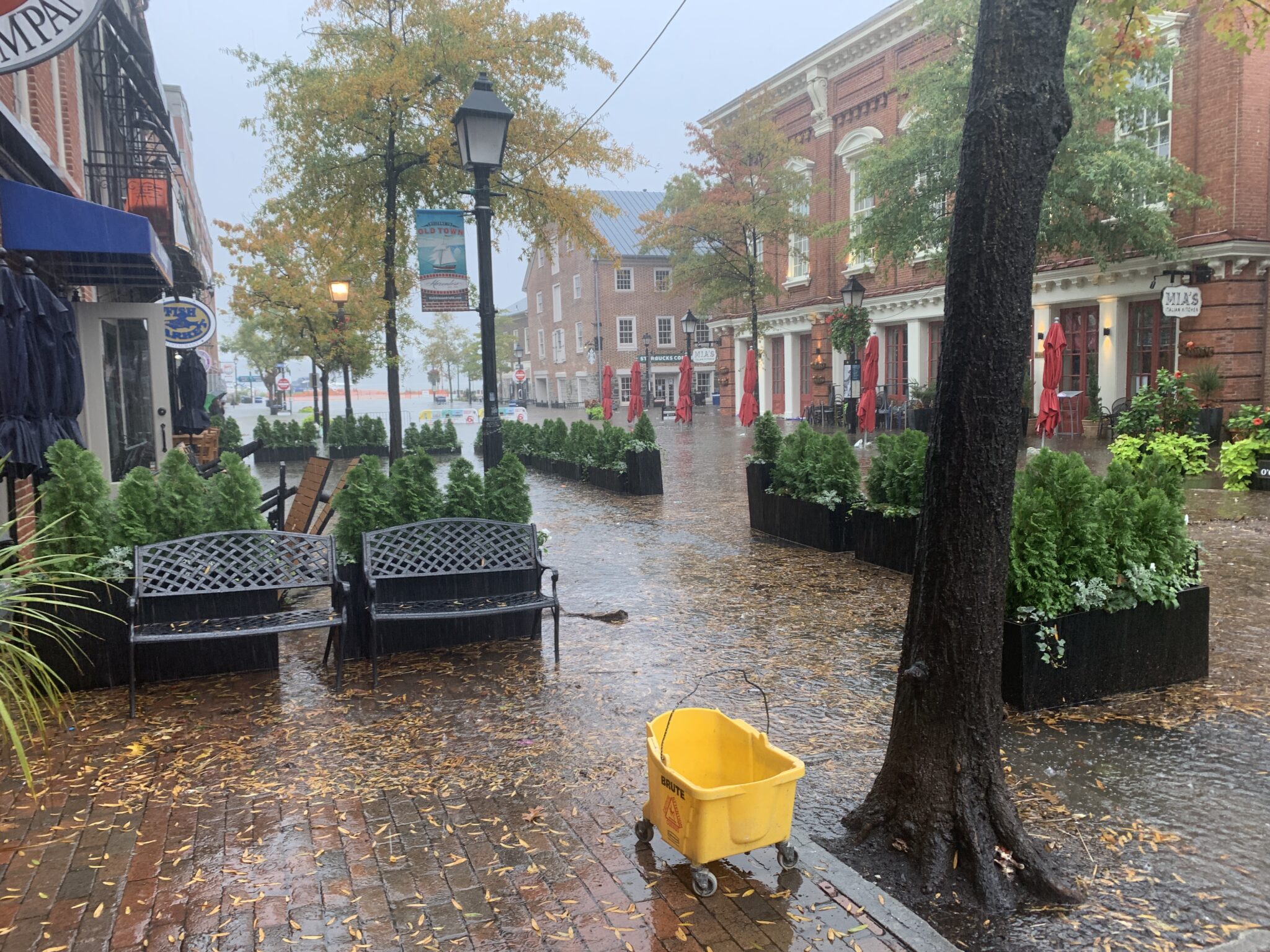 Flood Watch issued for Alexandria area as heavy thunderstorms expected ...