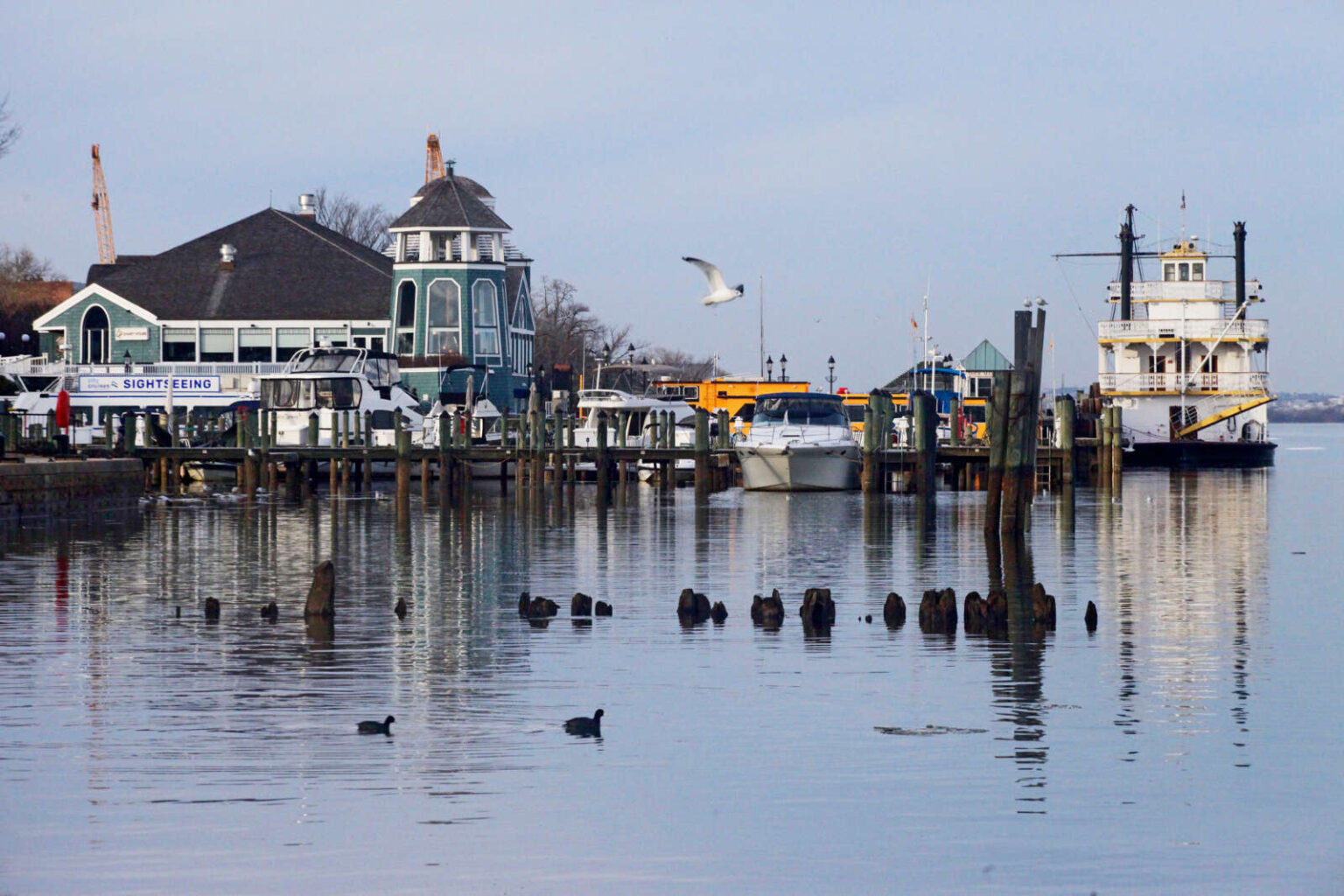 Morning Notes for January 5, 2026 | ALXnow