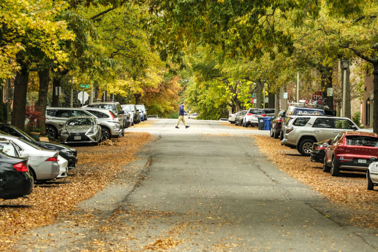 Alexandria kicks off leaf collection season today | ALXnow