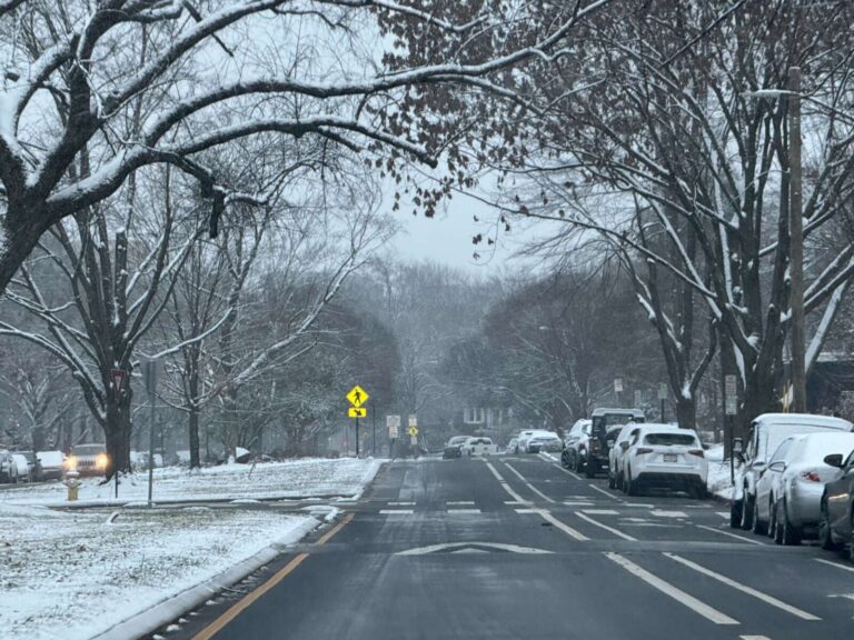 Forecast calls for snow this weekend in Alexandria | ALXnow