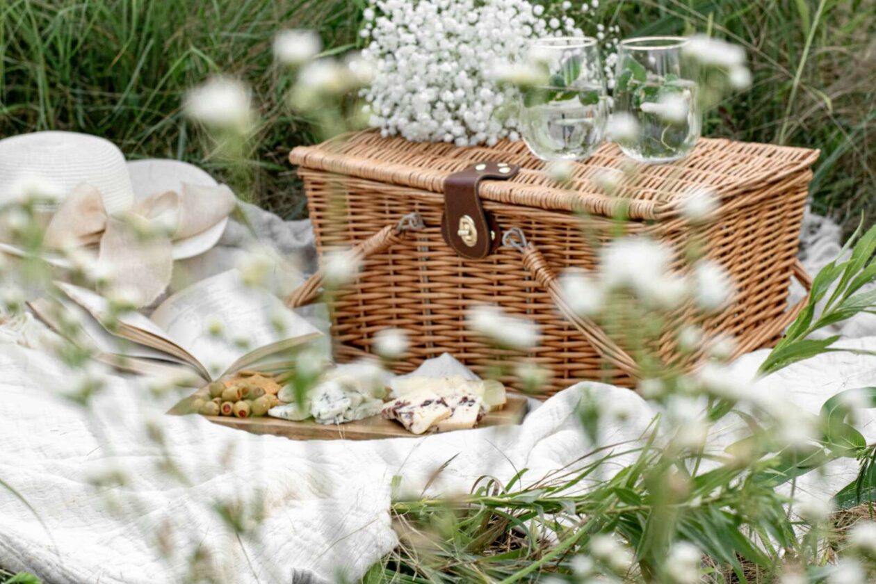 Alexandria picnic reservations start next week | ALXnow