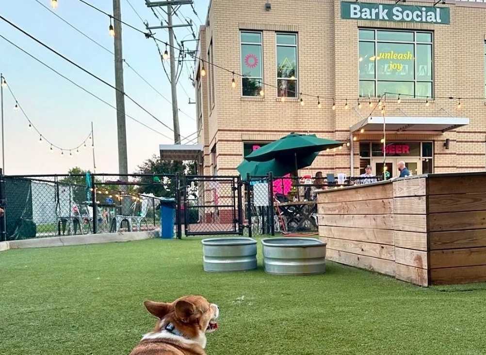 Bark Social announces sudden closure, including Potomac Yard location ...