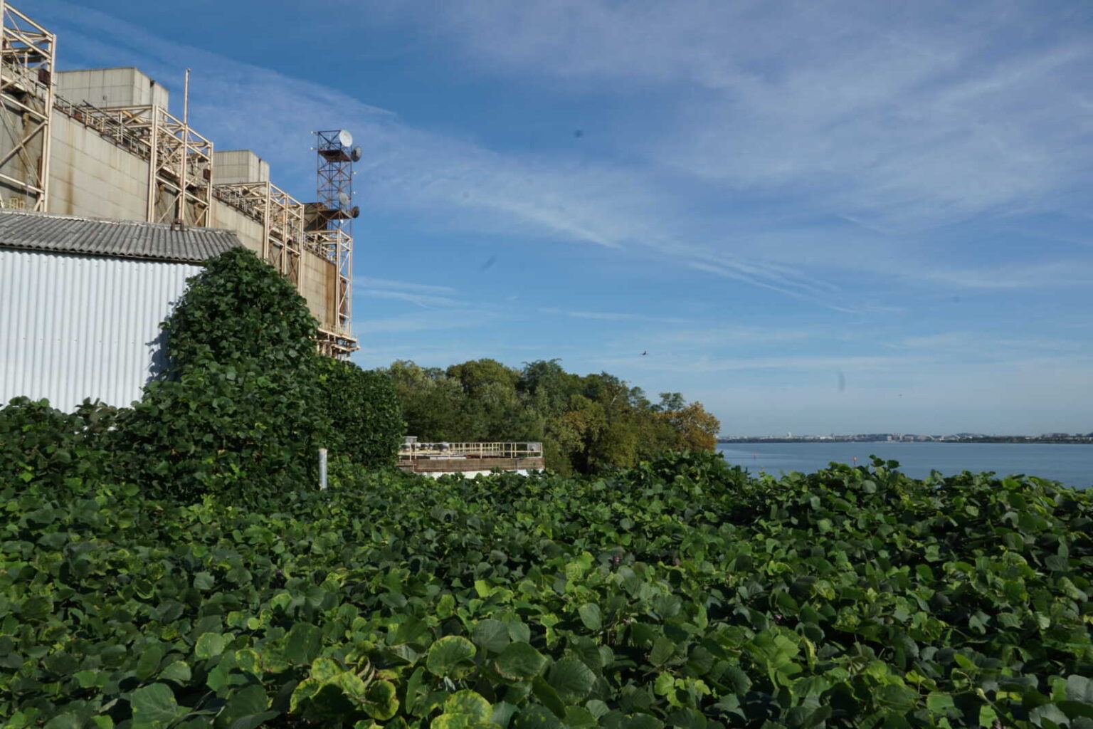 HRP Group hosts public tours of former power plant site ahead of ...